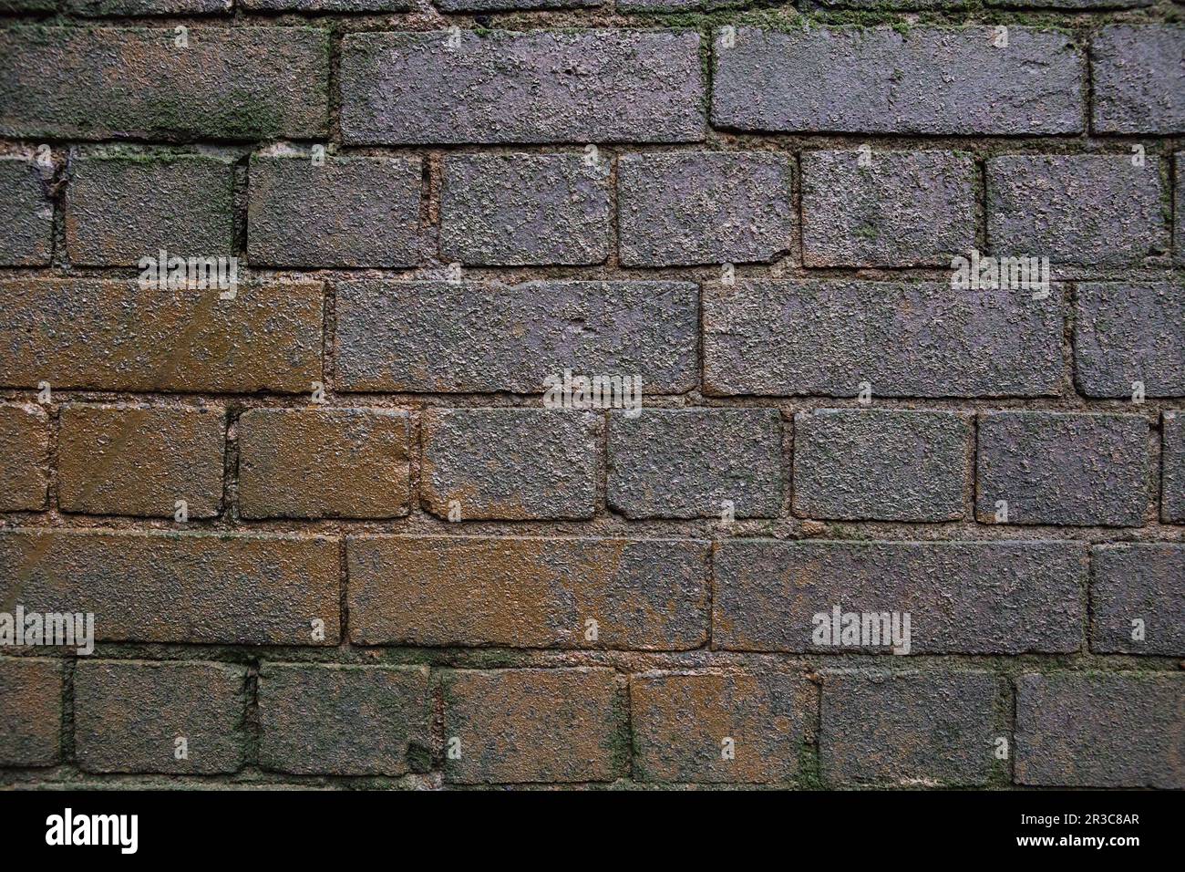 Grey and brown grunge brick wall background texture. Wet bricks Stock ...