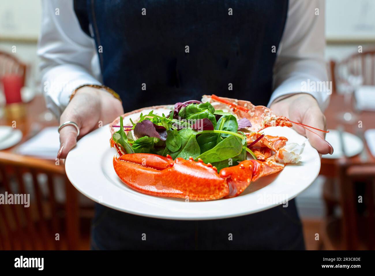 Waiter serves lobster with salad Stock Photo - Alamy