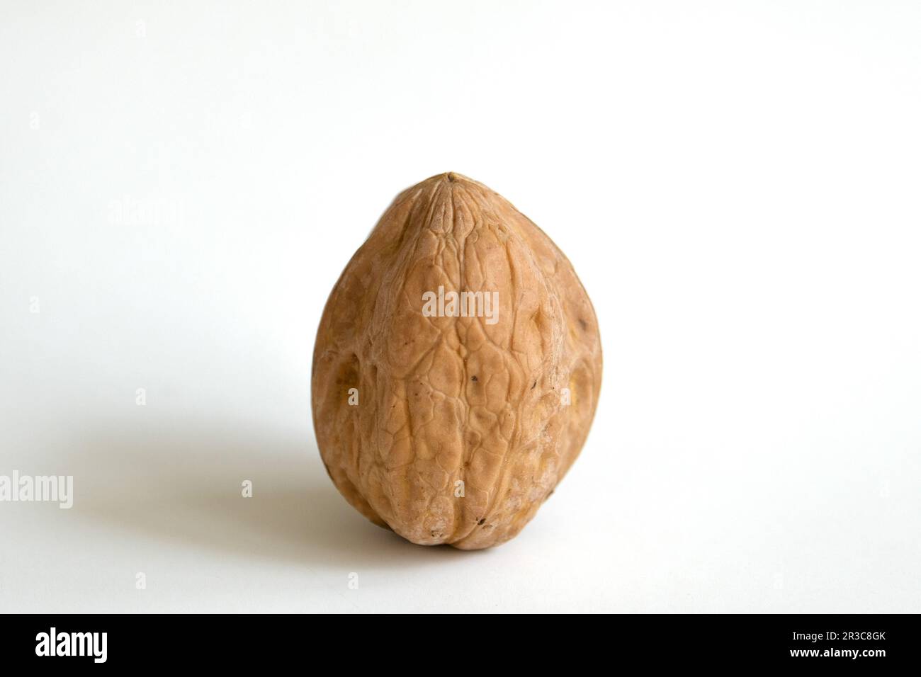 Close up delicious organic unopened walnut with nutshell isolated on a ...