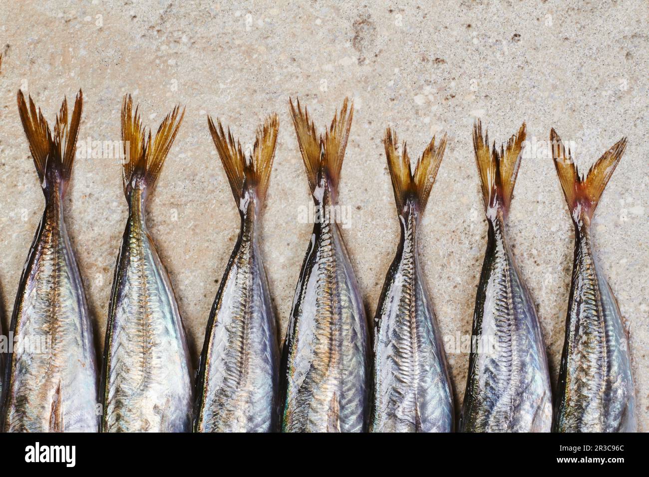 Tail fins of mackerel in a row Stock Photo - Alamy