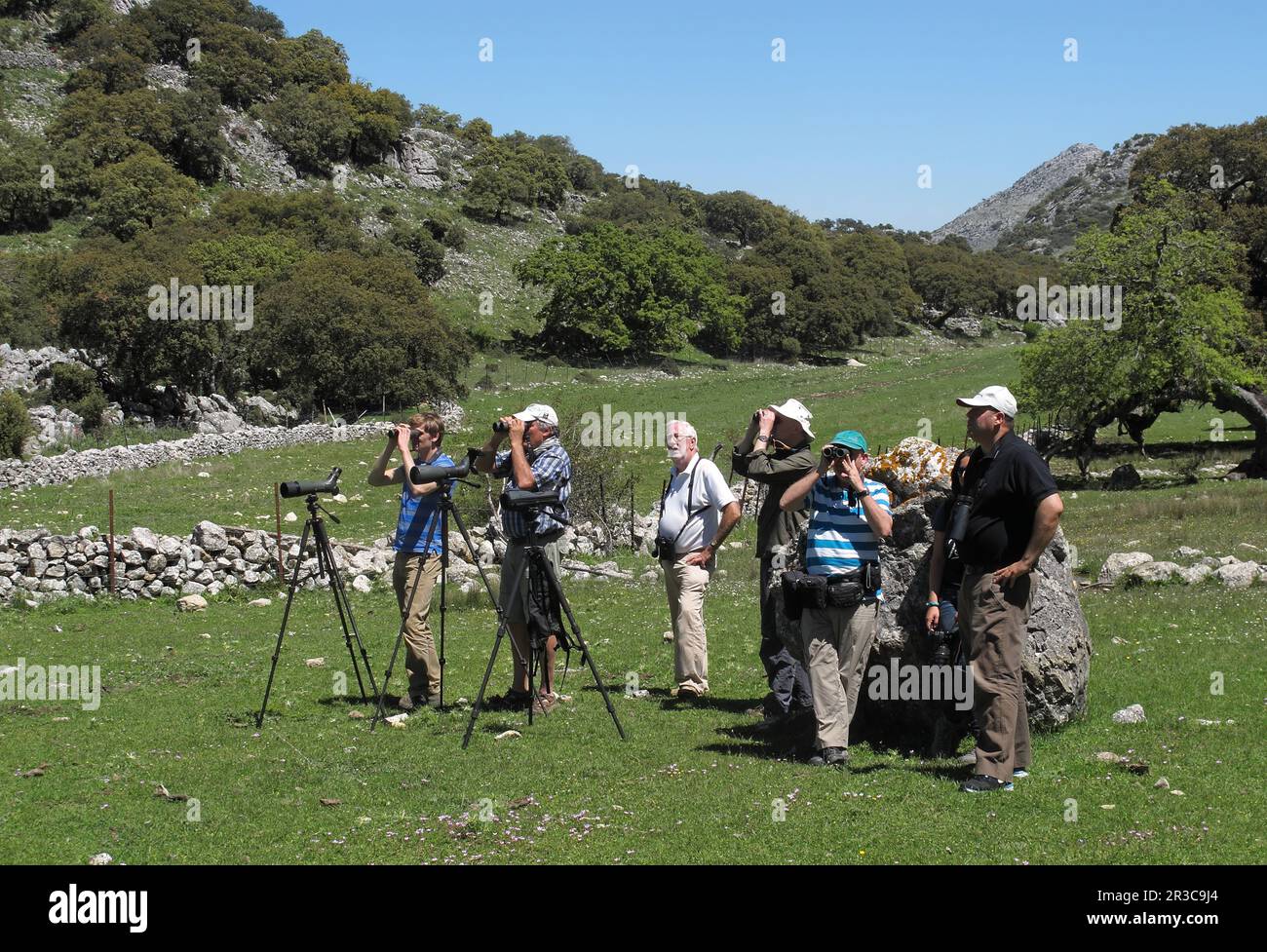 scanning for raptors in Libra Valley Andalucia, Spain May Stock Photo ...