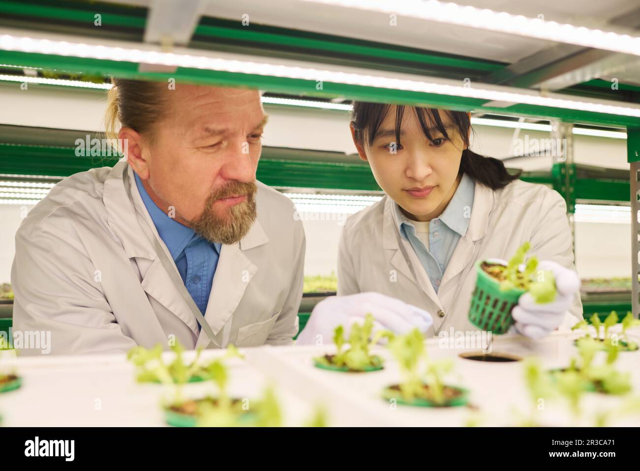 Two biotechnologists in lab coats studying characteristics of new ...