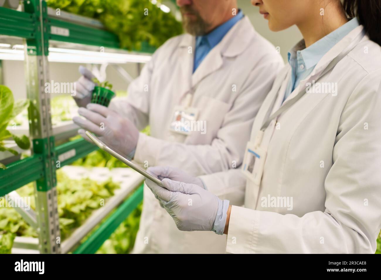 Close-up of two bio engineers in lab coats studying new sorts of ...