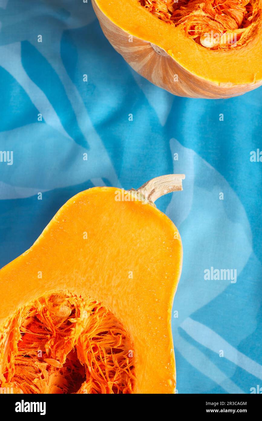 Fresh butternut squash on the blue background. Butternut Pumpkin ...