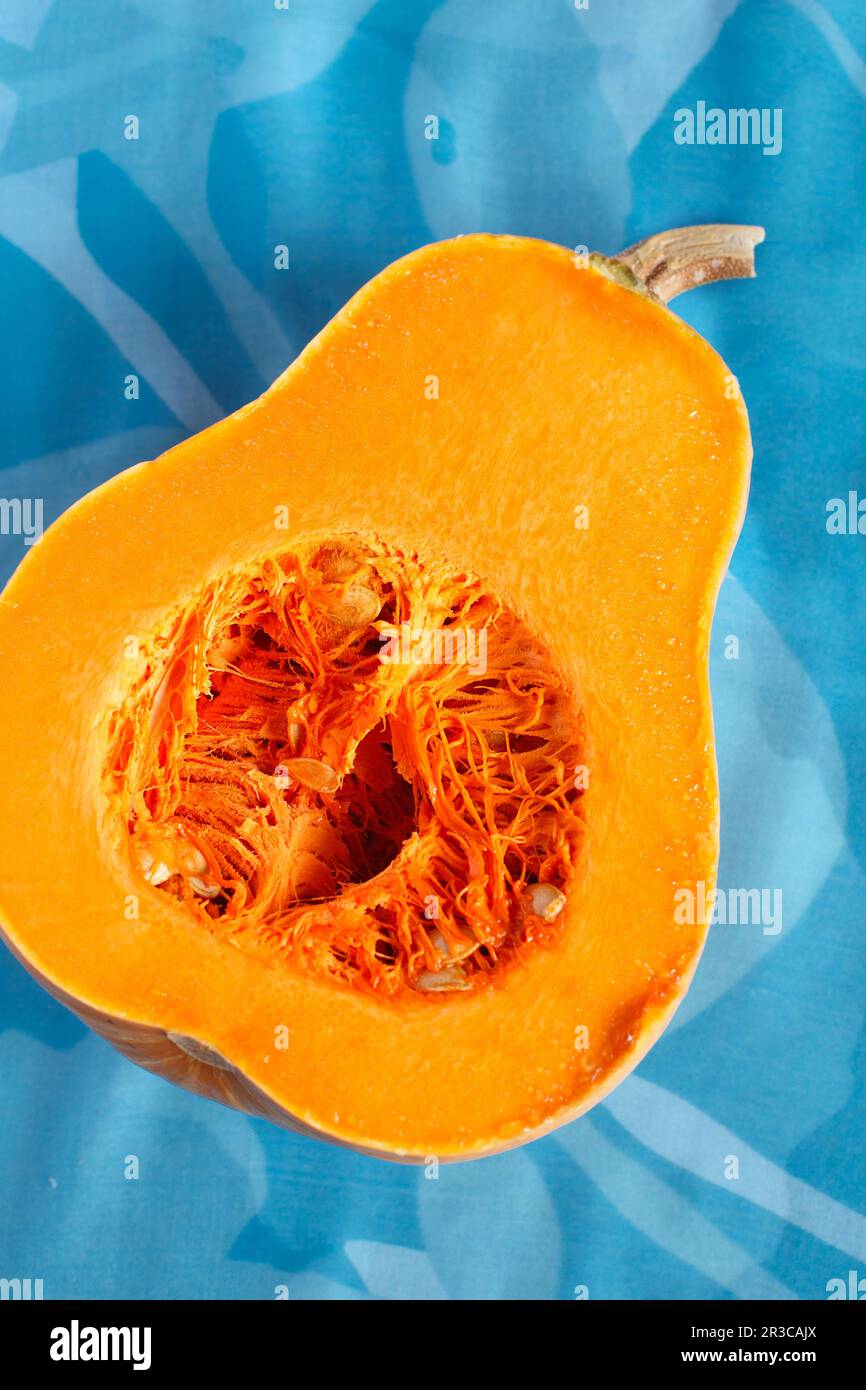 Fresh butternut squash on the grey background. Butternut Pumpkin ...