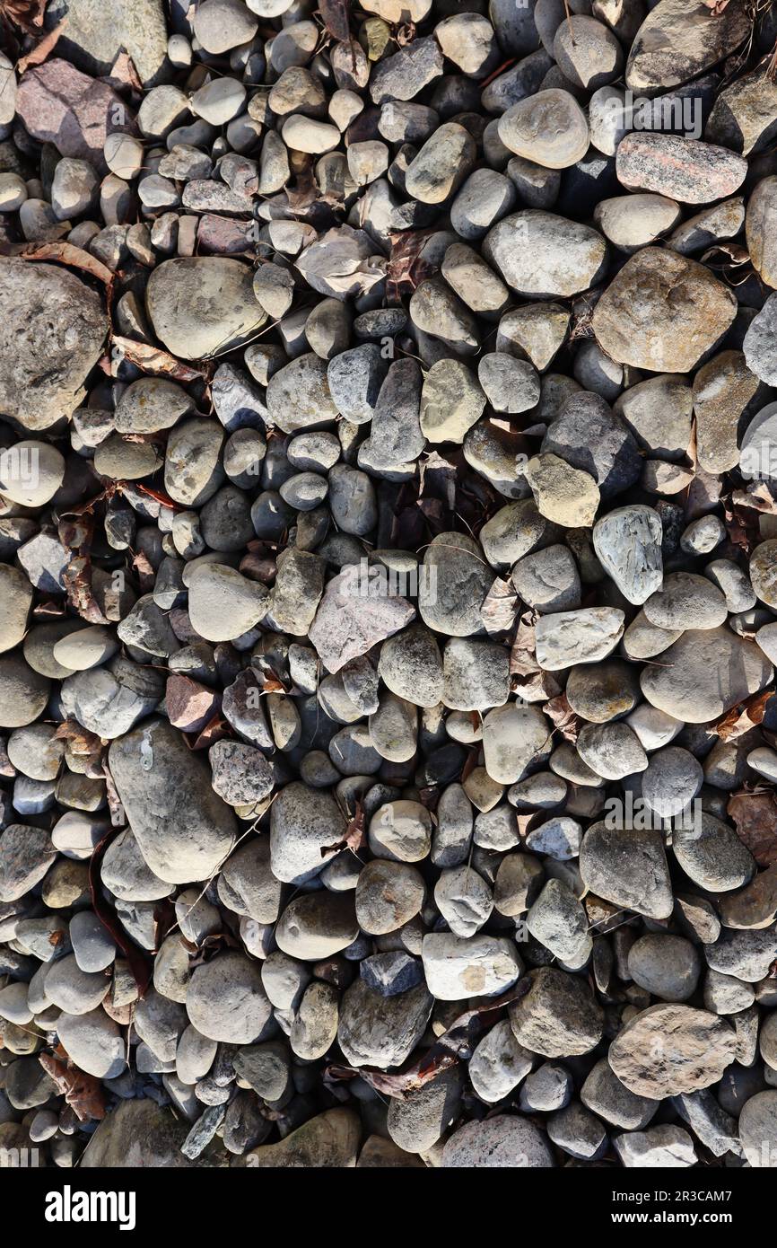 Dry River Bed Stones perfect for a background or texture pack Stock ...