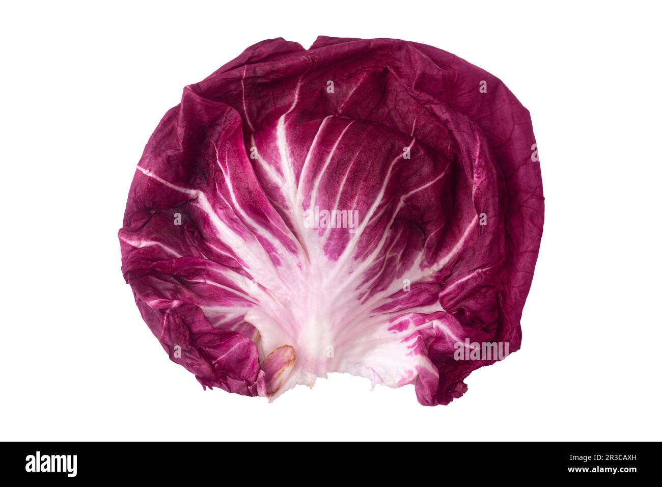 Crunchy salad Cut Out Stock Images & Pictures - Alamy