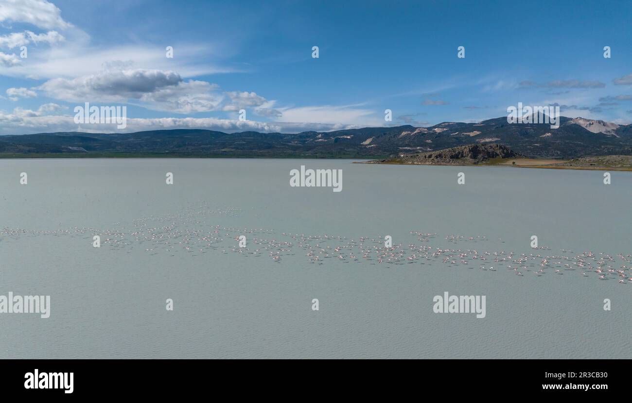 Yarisli Lake and an islet in Burdur, Turkey Stock Photo - Alamy