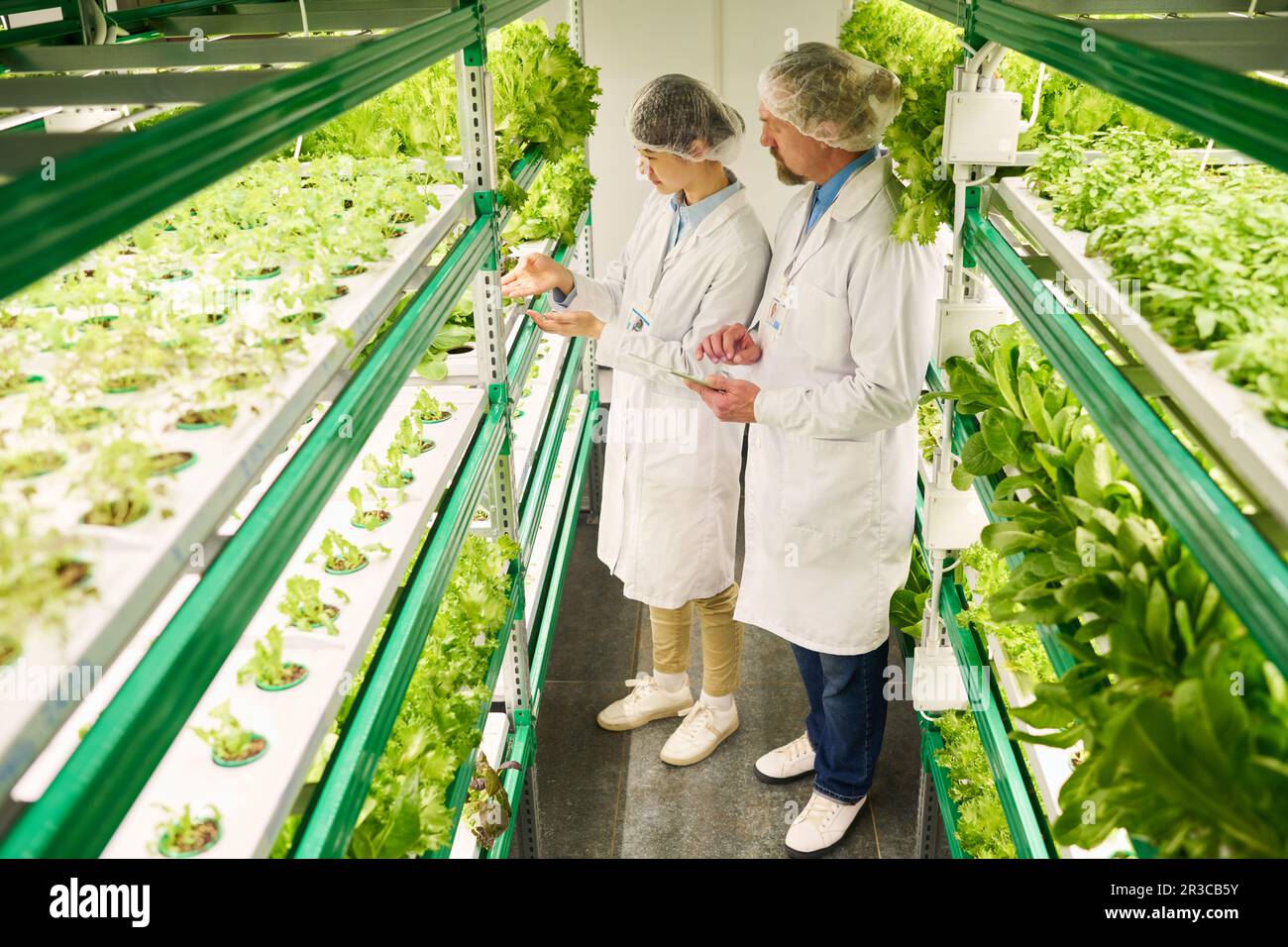 Two professional biotechnologists in lab coats standing in aisle ...