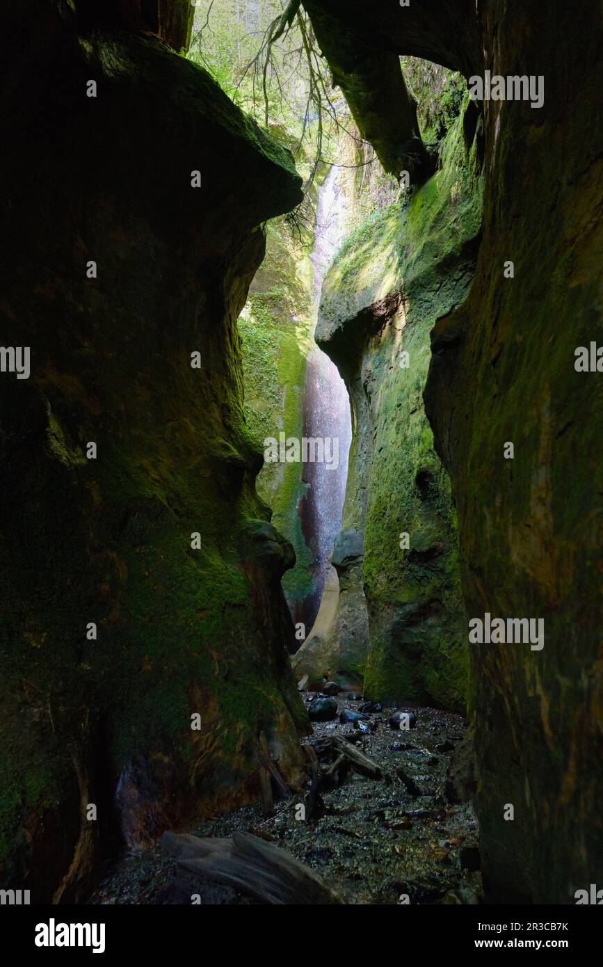 Sombrio Beach Waterfall Narrow Canyon. The hidden waterfall inside a ...