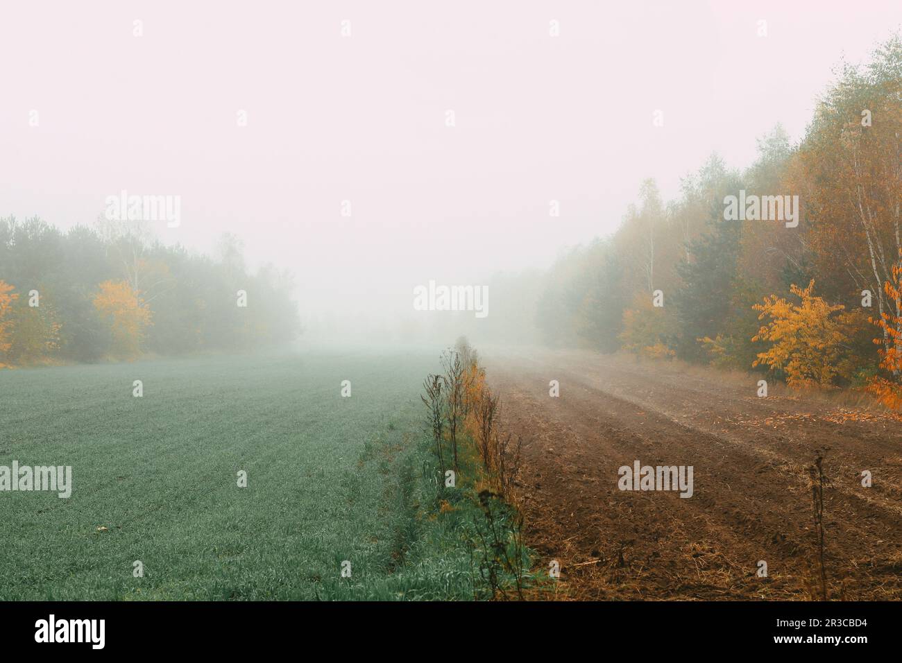 Peaceful scenic horizontal farm field no people hi-res stock ...