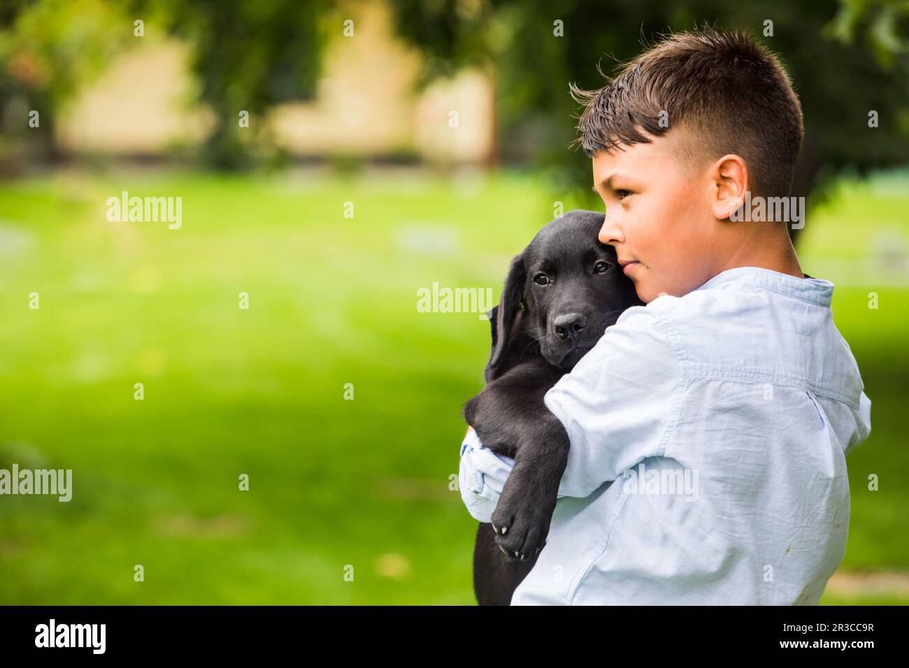 The boy with his favorite four-legged friend Stock Photo - Alamy