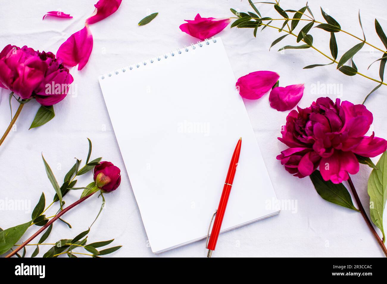 Starting day from scratch, planning future life Stock Photo - Alamy