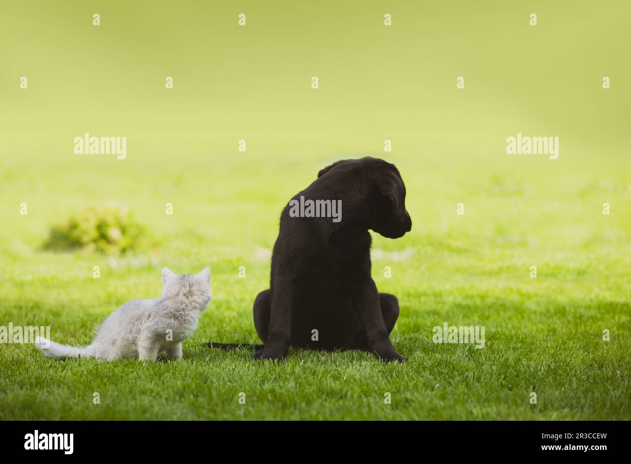 Look back at it hi-res stock photography and images - Alamy