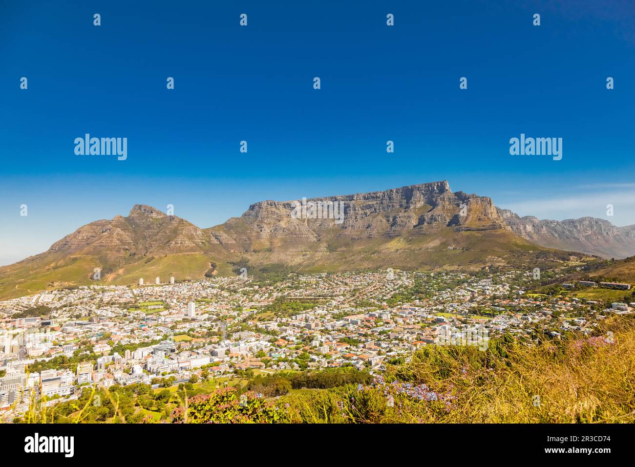 Wide angle view of Table Mountain from Signal Hill in Cape Town Stock ...