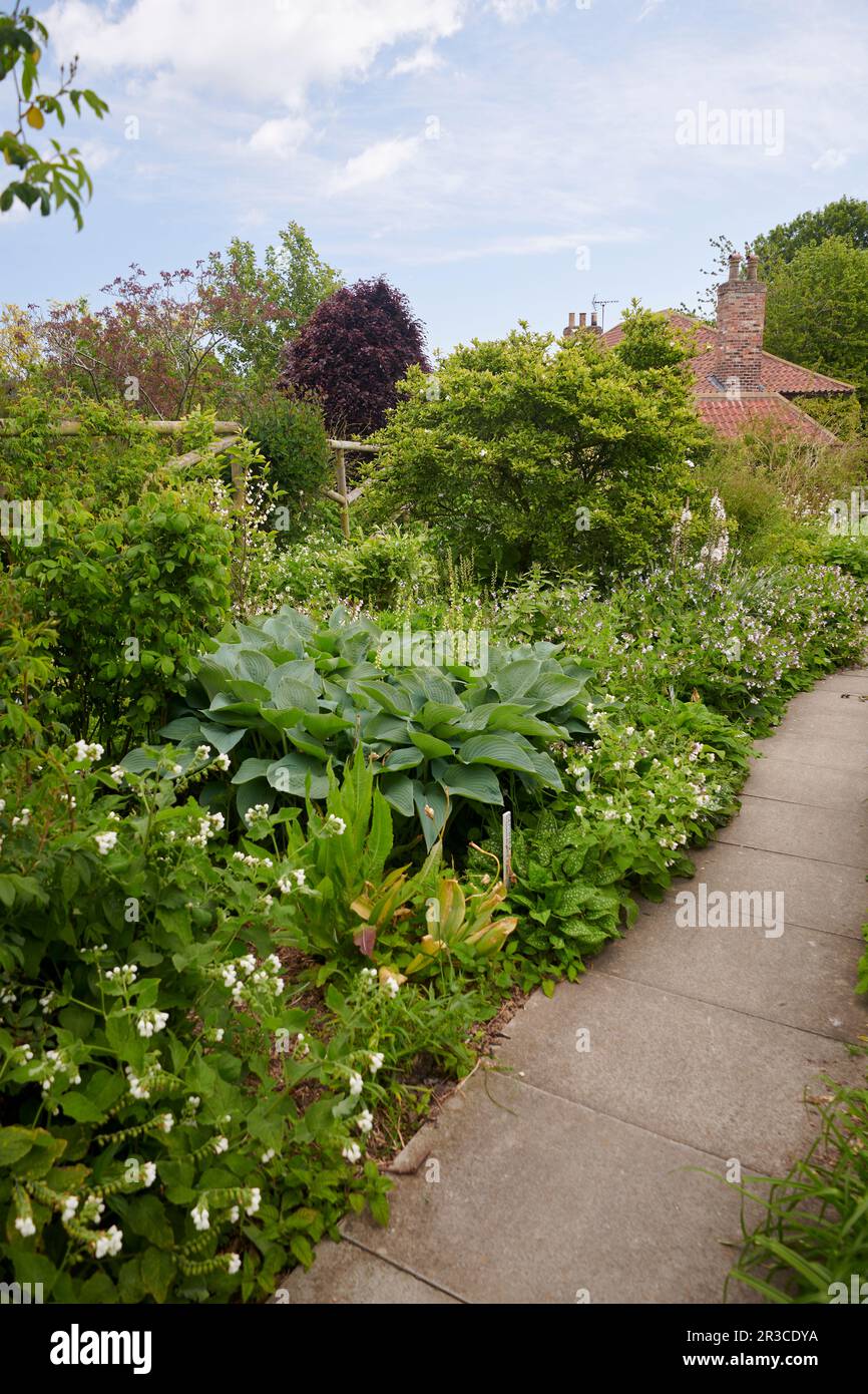 Flower border in an English Elizabethan walled garden Stock Photo - Alamy