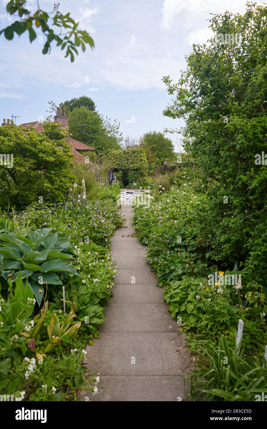Flower border in an English Elizabethan walled garden Stock Photo - Alamy