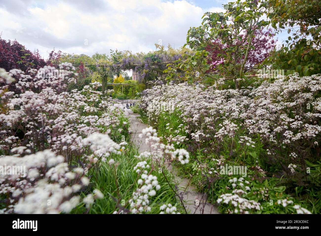 Herbaceous Flower border in an English Elizabethan walled garden Stock ...