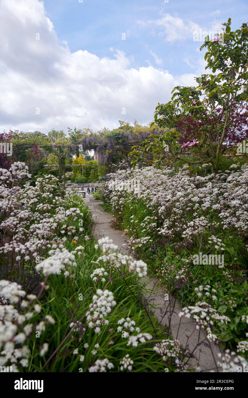 Herbaceous Flower border in an English Elizabethan walled garden Stock ...
