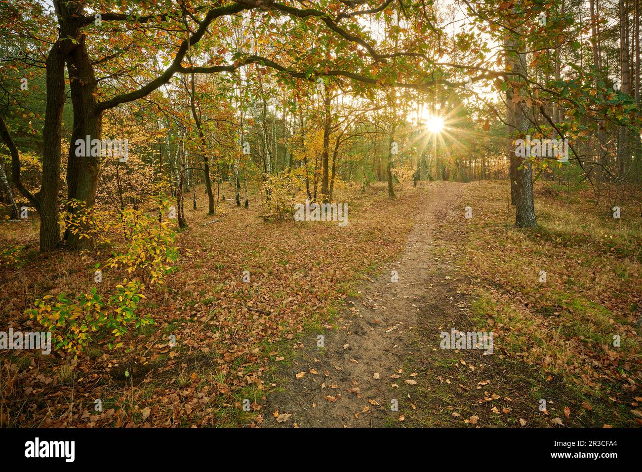 Schloay holte stukenbrock hi-res stock photography and images - Alamy