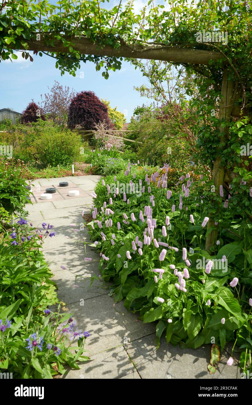 Flower border in an English Elizabethan walled garden Stock Photo - Alamy