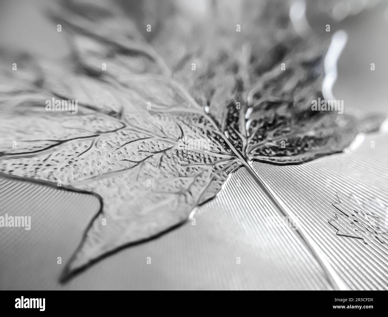 Macro close up of a pure Silver Bullion coin Stock Photo - Alamy