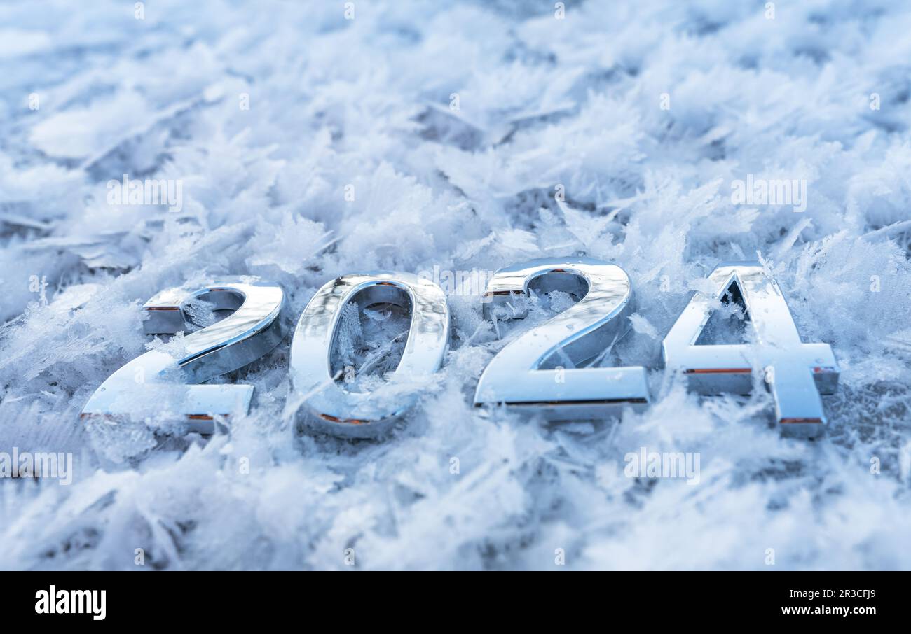 Background for a New Year's card, symbols of 2024 covered with frost ...
