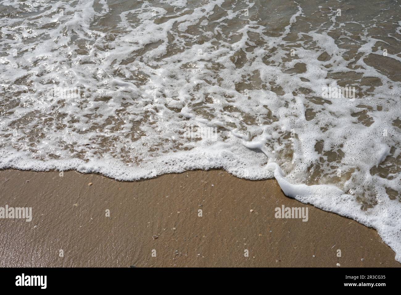 Close-up from foaming water on the beach (location North Sea ...