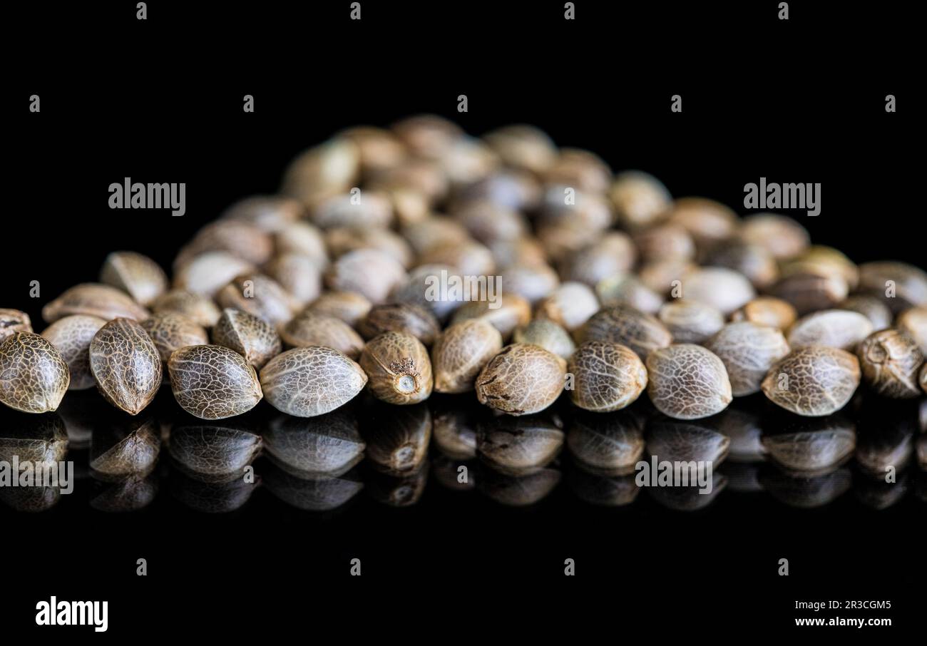 Marijuana seeds hi-res stock photography and images - Alamy
