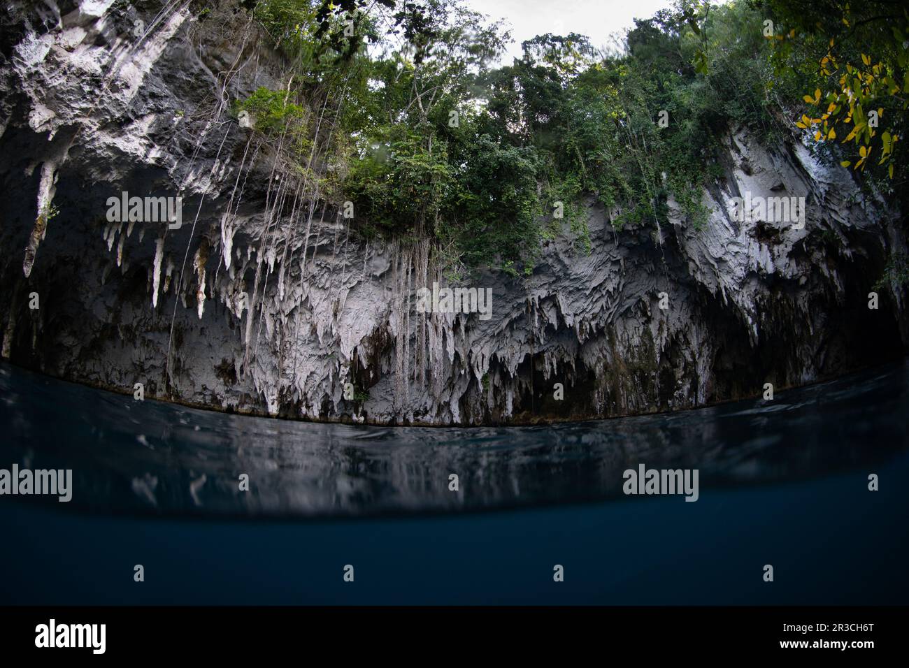 Stalactites hang down from the roof of a collapsed, water-filled cave ...