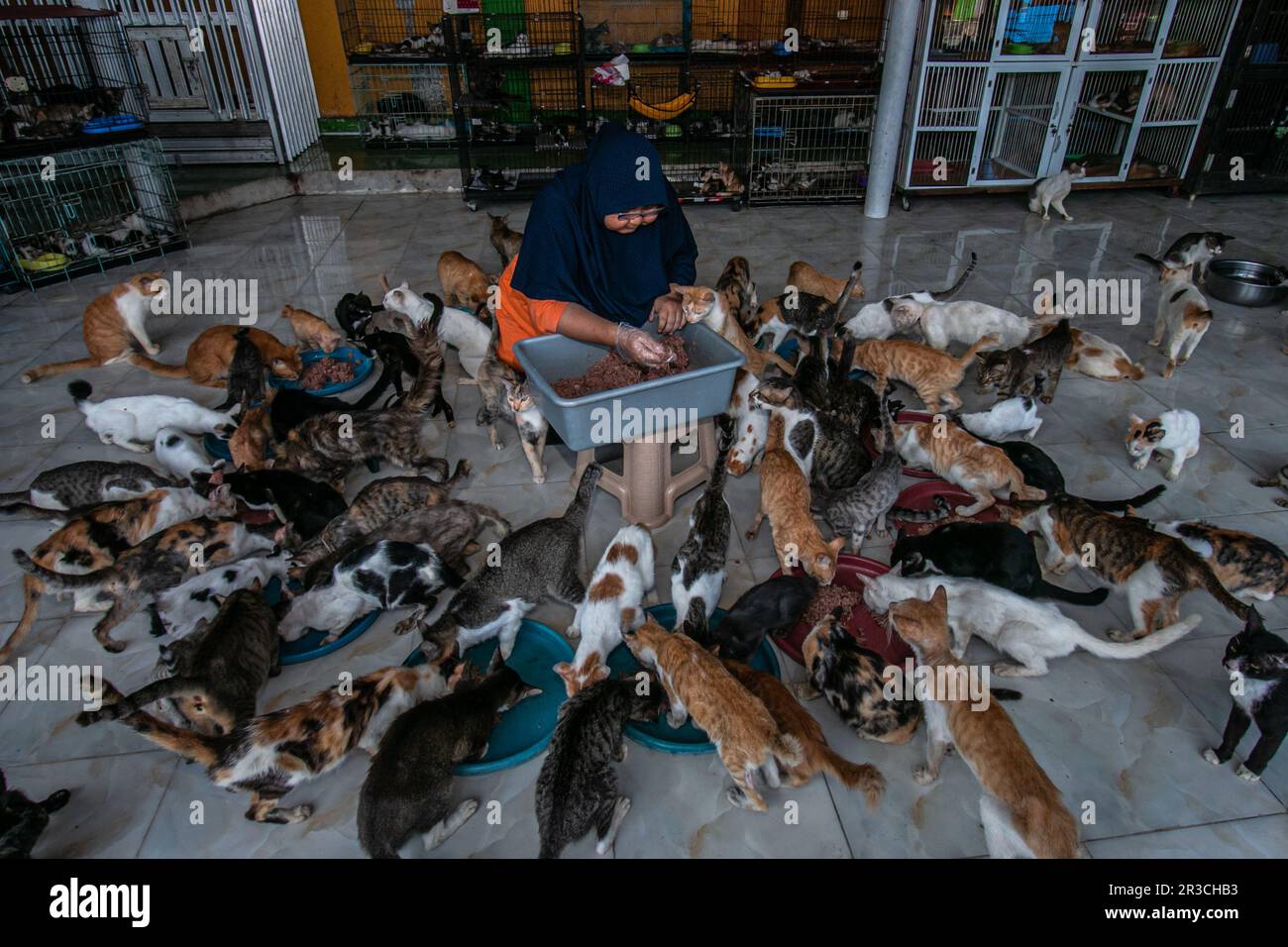 Woman in a homeless shelter hi-res stock photography and images - Alamy