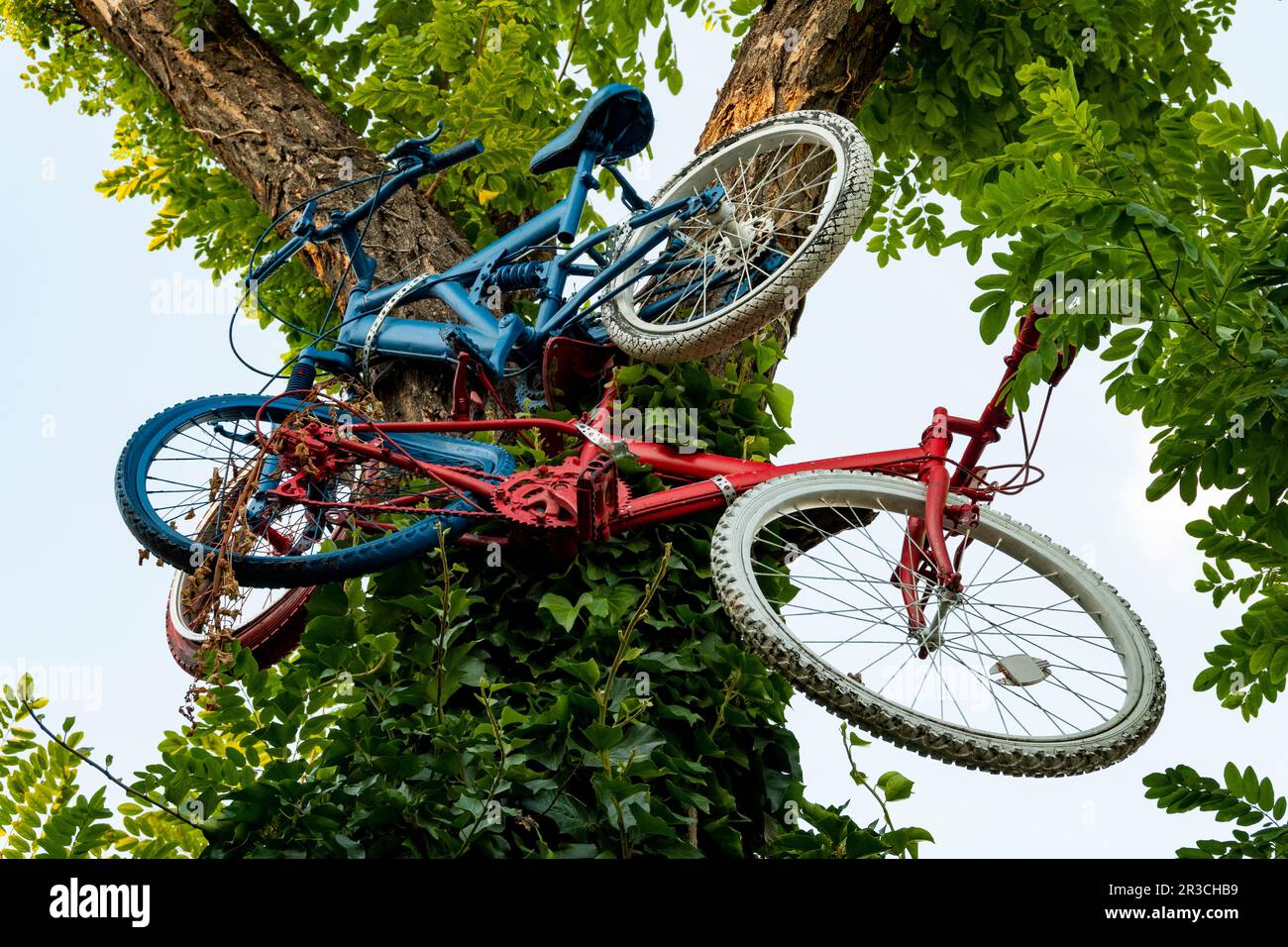 Bicycle hanging tree hi-res stock photography and images - Alamy