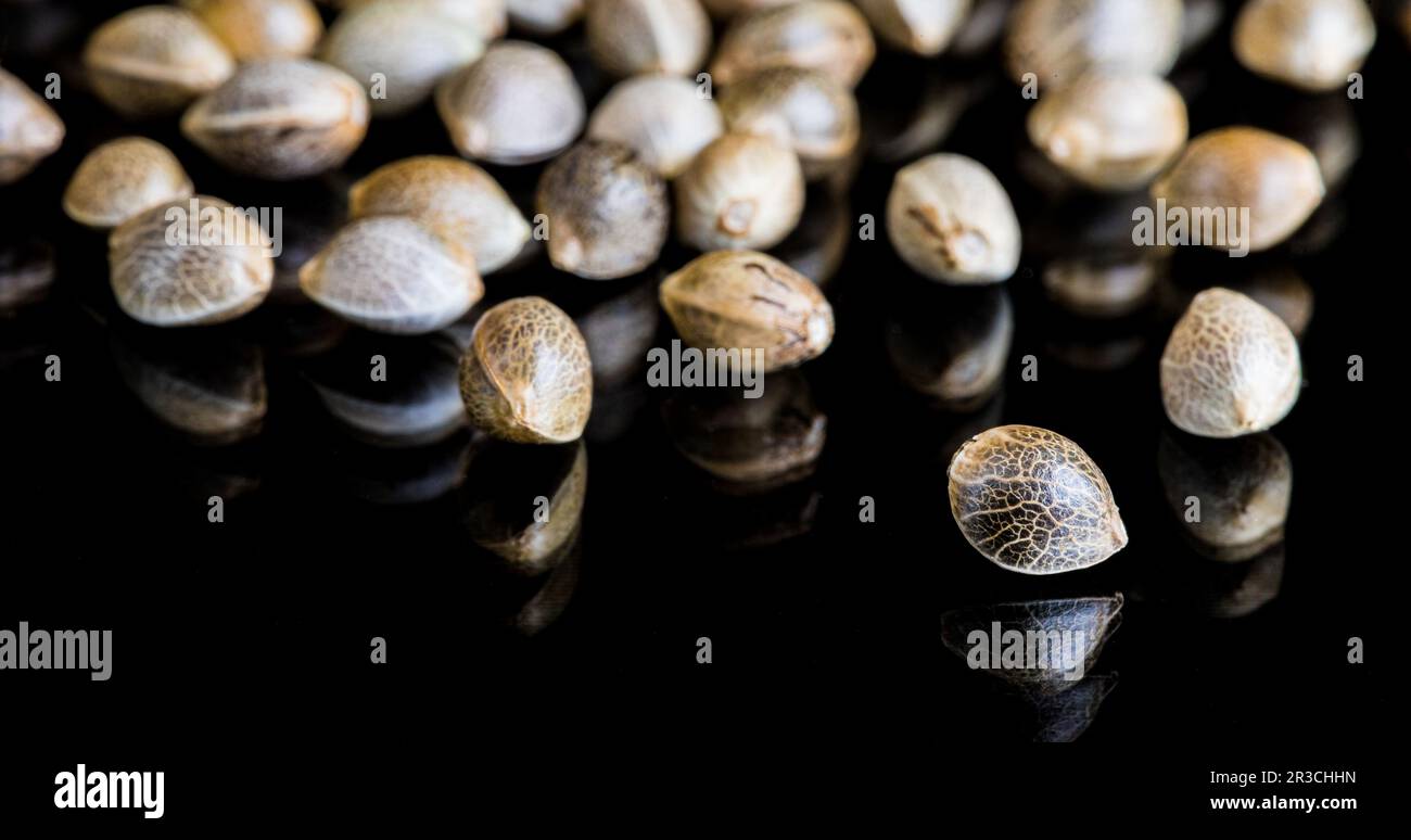 Marijuana seeds hi-res stock photography and images - Alamy