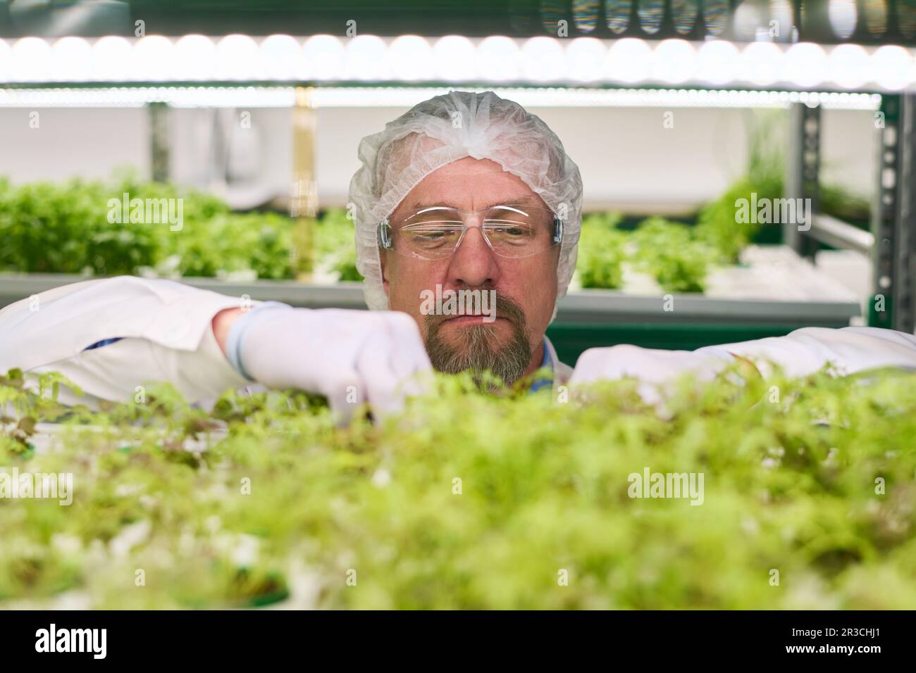 Business man agronomist studying seedlings hi-res stock photography and ...