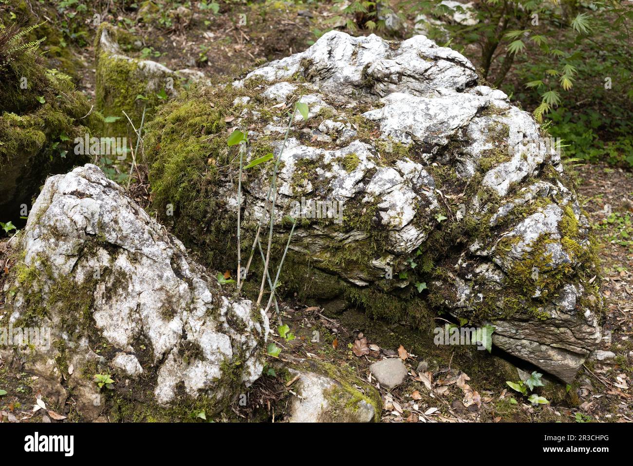 Moss covered rock garden hi-res stock photography and images - Alamy