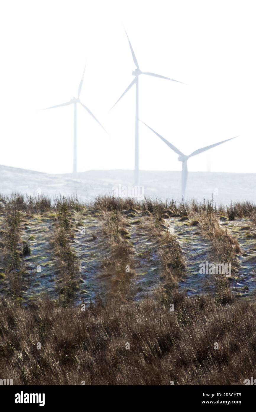 Showing three wind turbines hi-res stock photography and images - Alamy