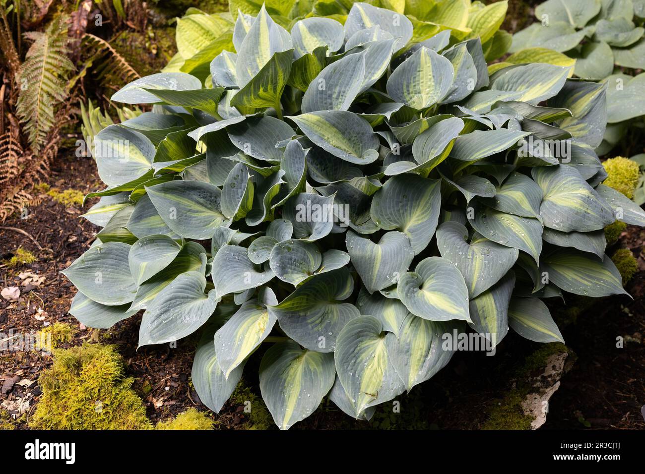 Gardening jacket hi-res stock photography and images - Alamy