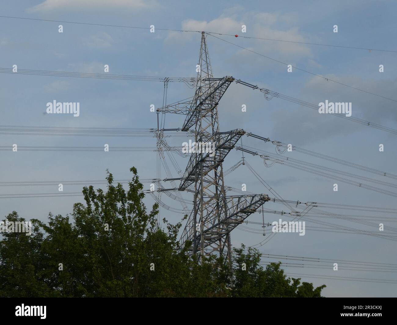 Electricity pylon with power lines and tree in front Stock Photo - Alamy