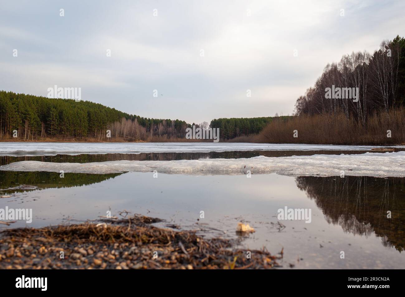 Spring streams in nature. The snow melts in a large lake and clear ...