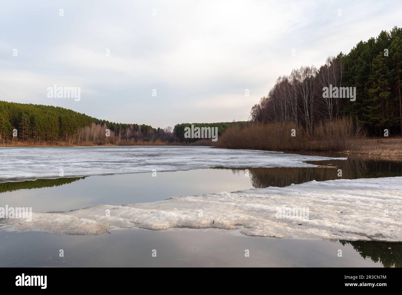 Spring streams in nature. The snow melts in a large lake and clear ...