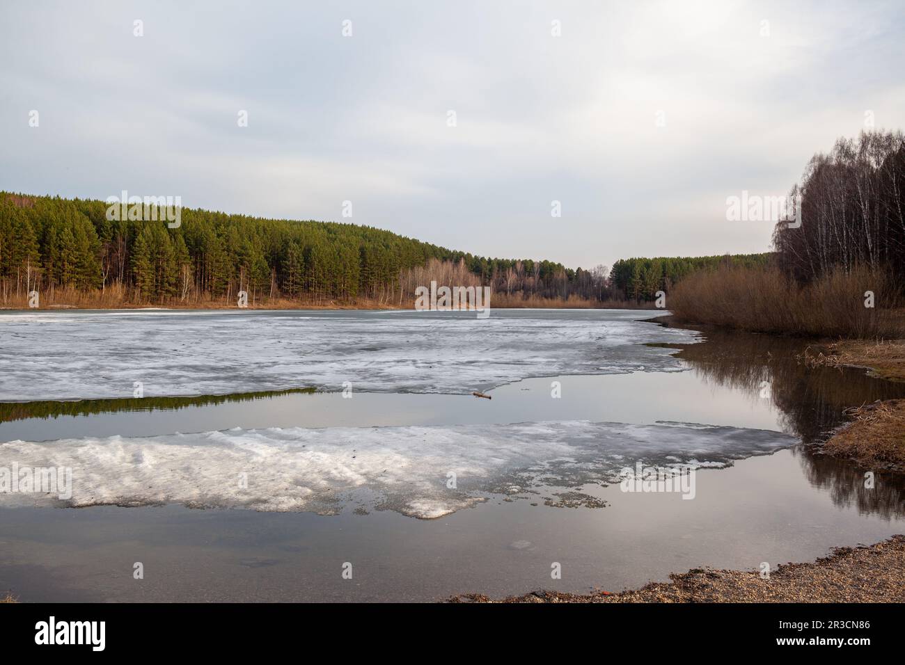 Spring streams in nature. The snow melts in a large lake and clear ...
