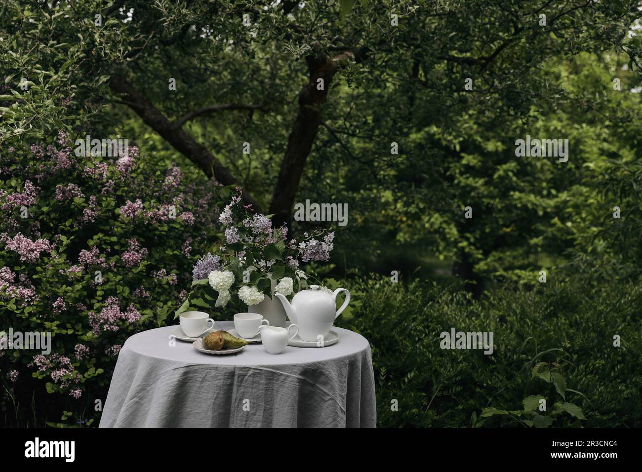 Cozy tea party in beautiful garden. Teapot, cups of coffee, milk ...
