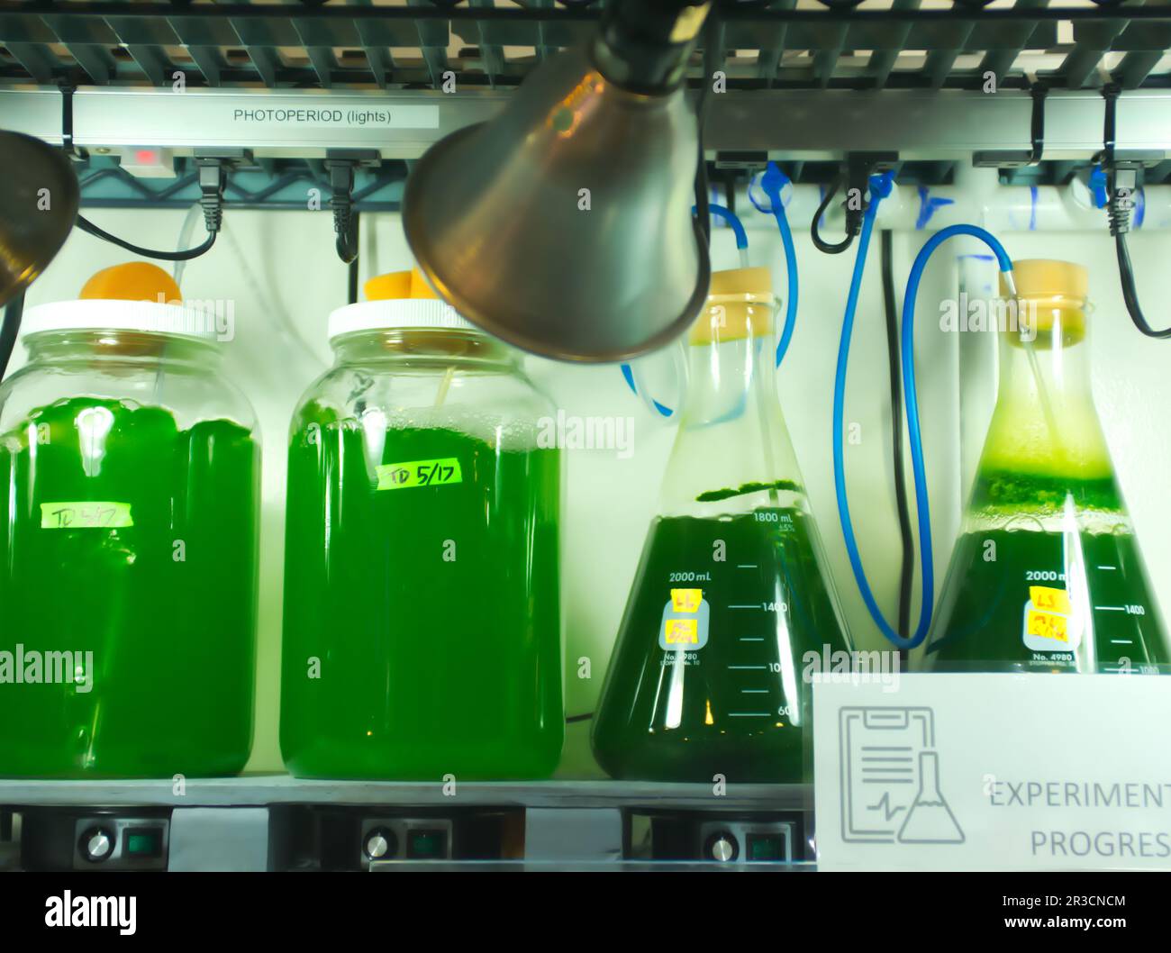Green chemistry reaction formula hi-res stock photography and images ...