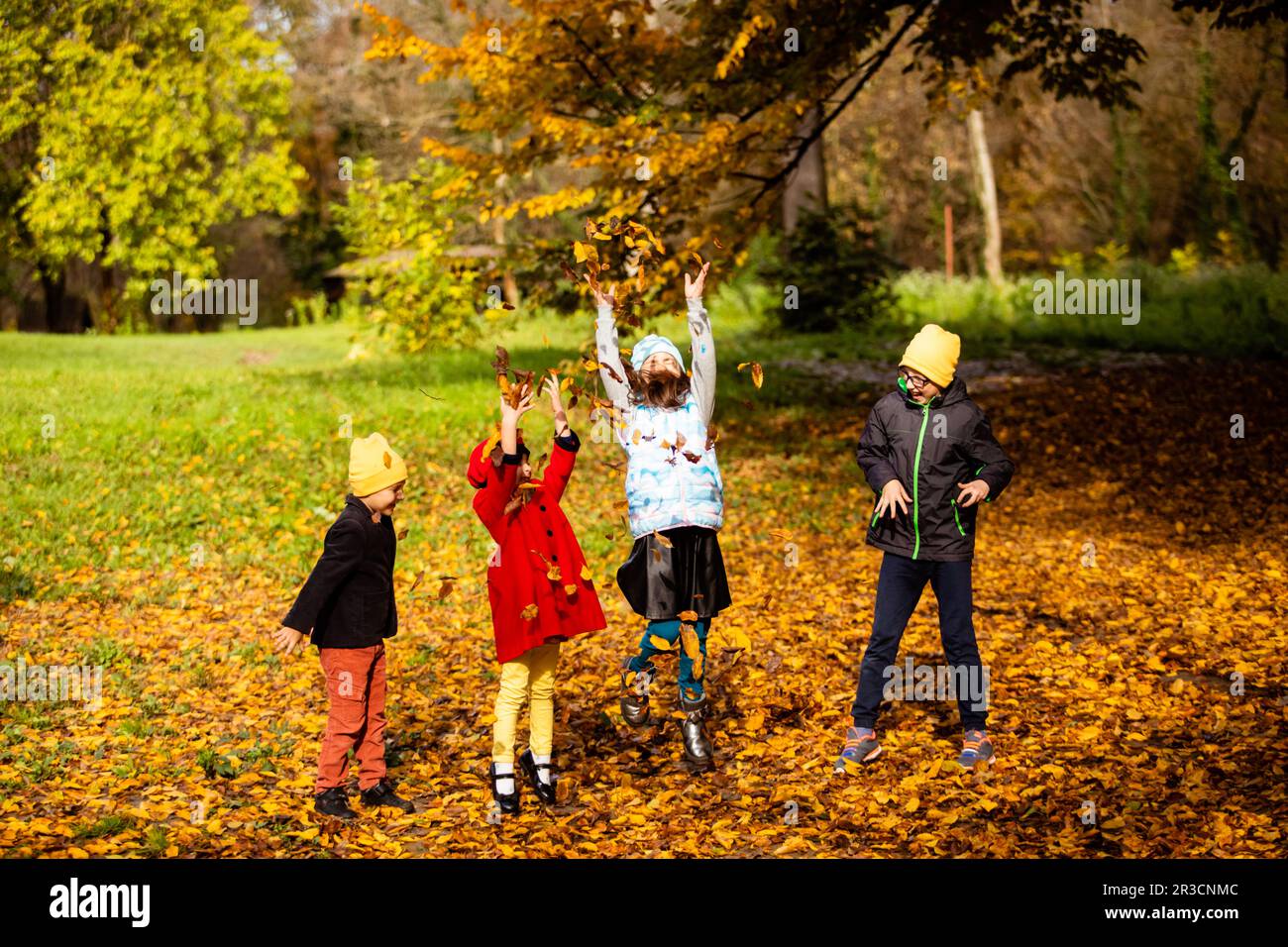 The kids like to play with leaves in the autumn season Stock Photo - Alamy