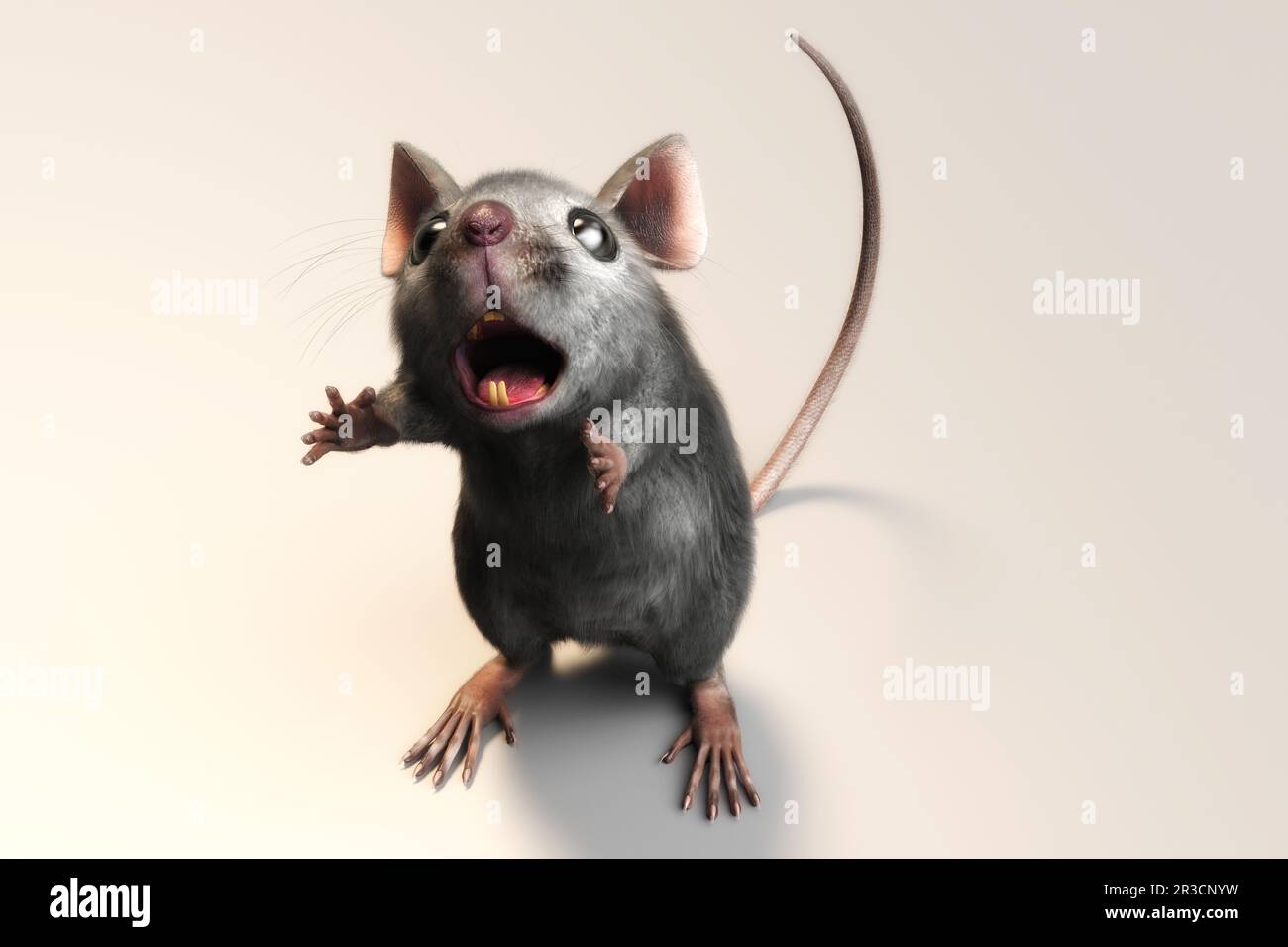 House mouse mus musculus illustration hi-res stock photography and ...