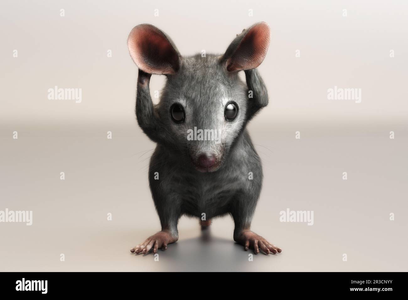 House mouse mus musculus illustration hi-res stock photography and ...