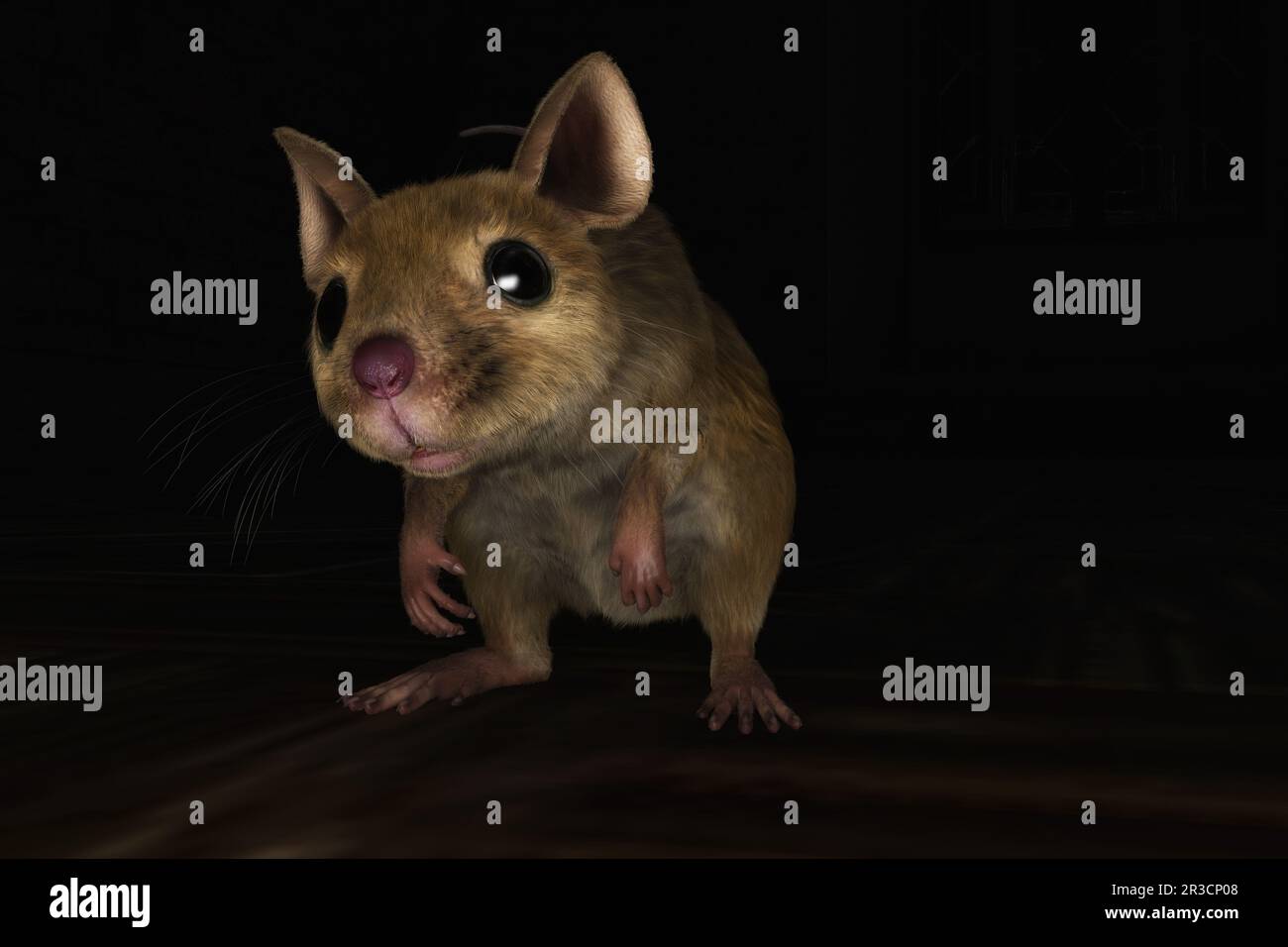 House mouse mus musculus illustration hi-res stock photography and ...