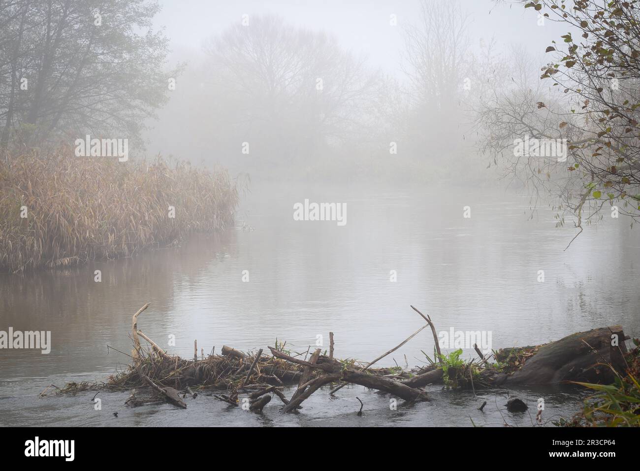 Autumn misty day haze fog hi-res stock photography and images - Alamy