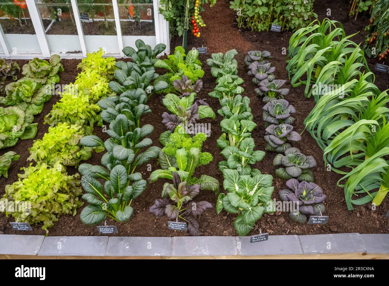 London, UK. 23 May 2023. A display of fresh vegetable and salads in the ...