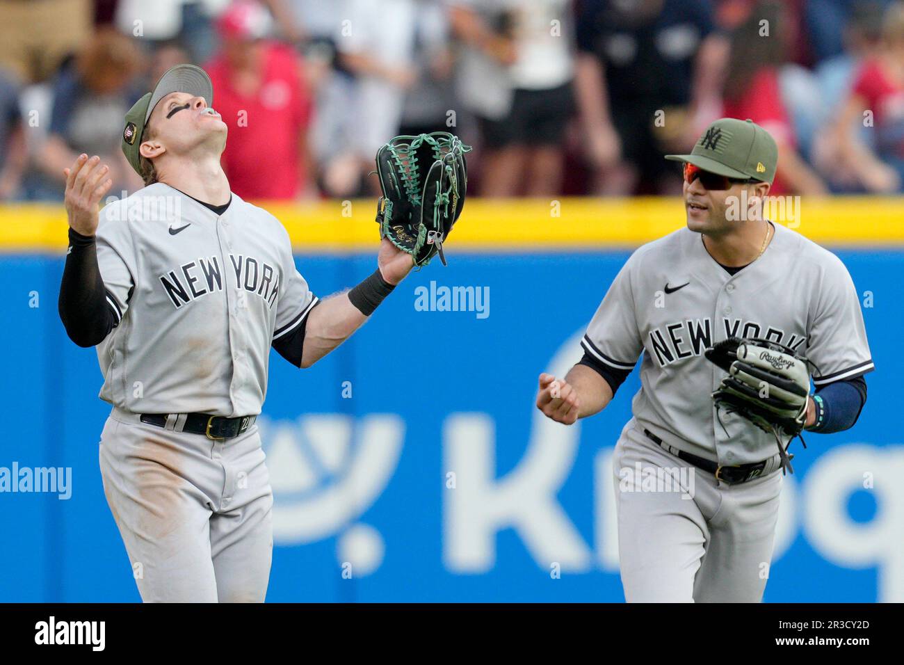 New York Yankees' Harrison Bader, left and Isiah Kiner-Falefa celebrate ...